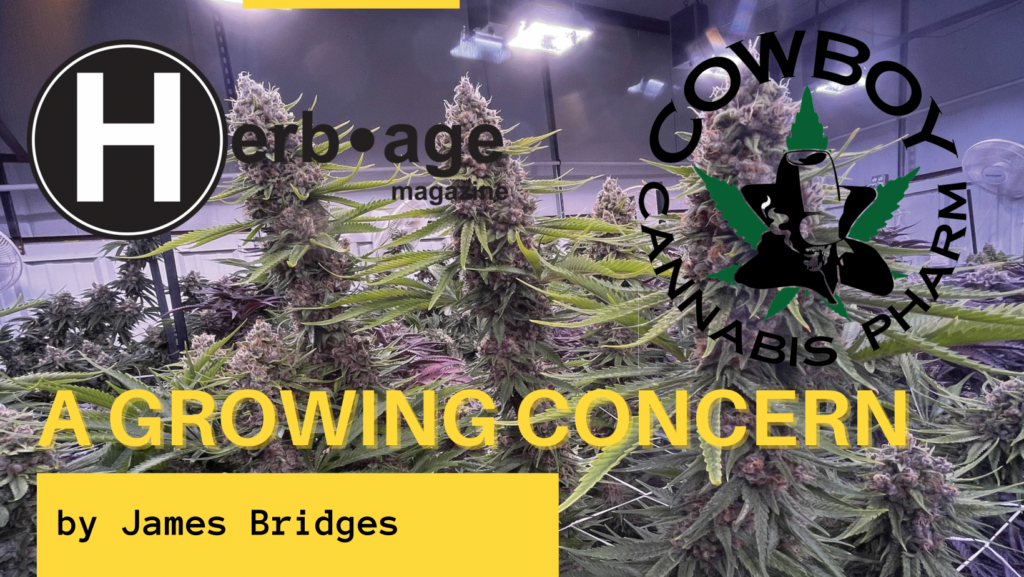 A Growing Concern • Herbage Magazine