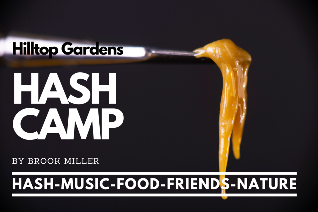 Hilltop Gardens Hash Camp • Herbage Magazine