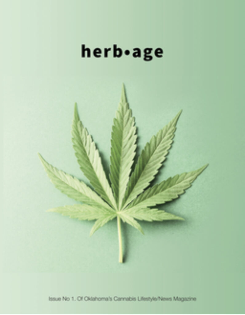 Ultimate Guide to the Terp Float Festival • Herbage Magazine