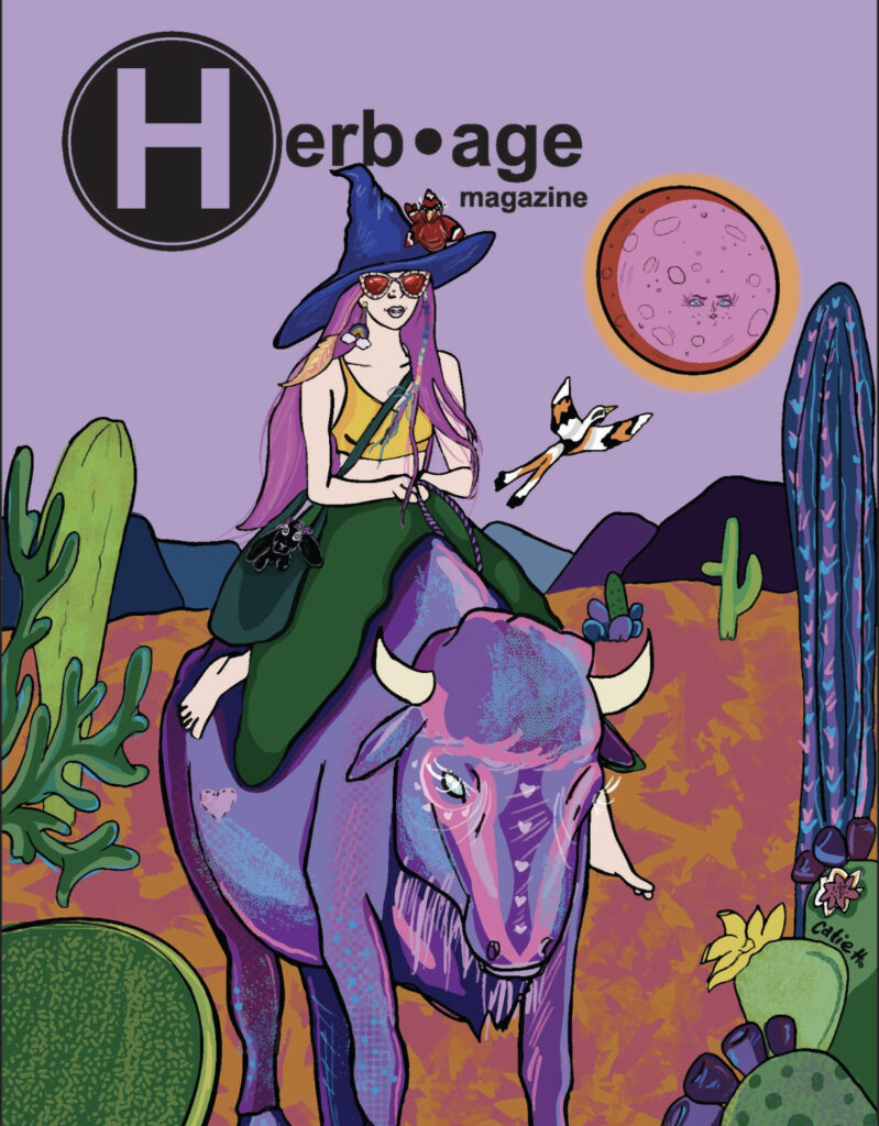 Ultimate Guide to the Terp Float Festival • Herbage Magazine